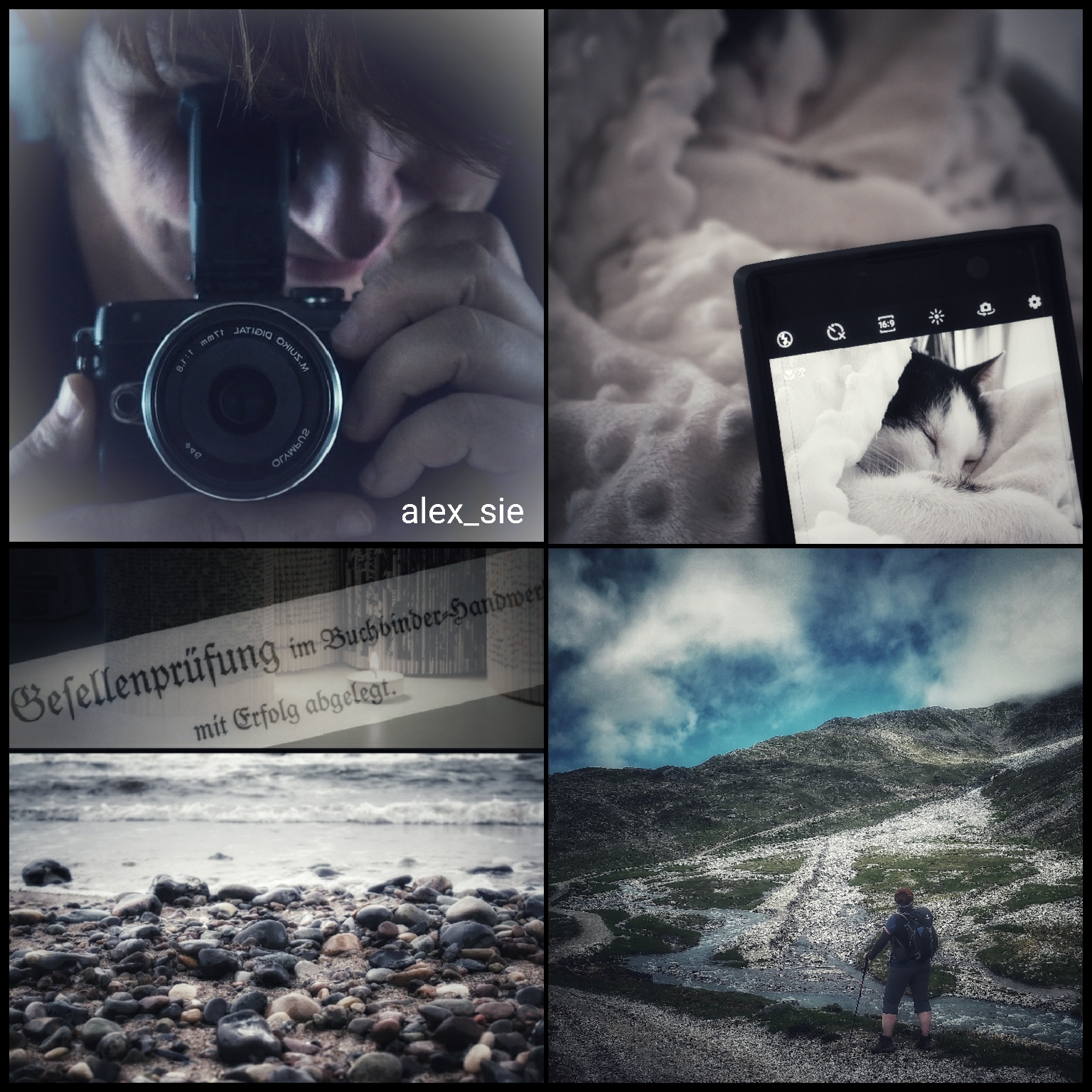 Projekt acht.händig – Wandelzauber